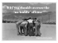 Why you shouldn't overuse the "no-huddle" offense - Dr. Gerry Lewis